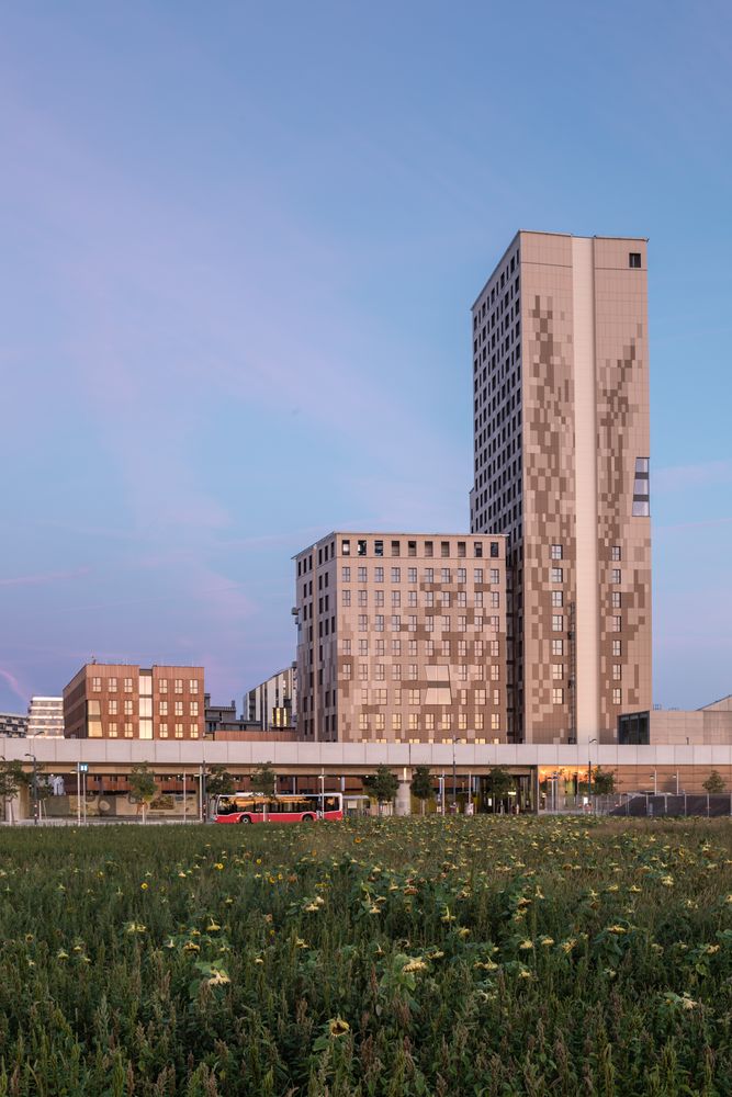 HoHo Wien: Holz-Hybrid-Hochhaus mit Brettschichtholz